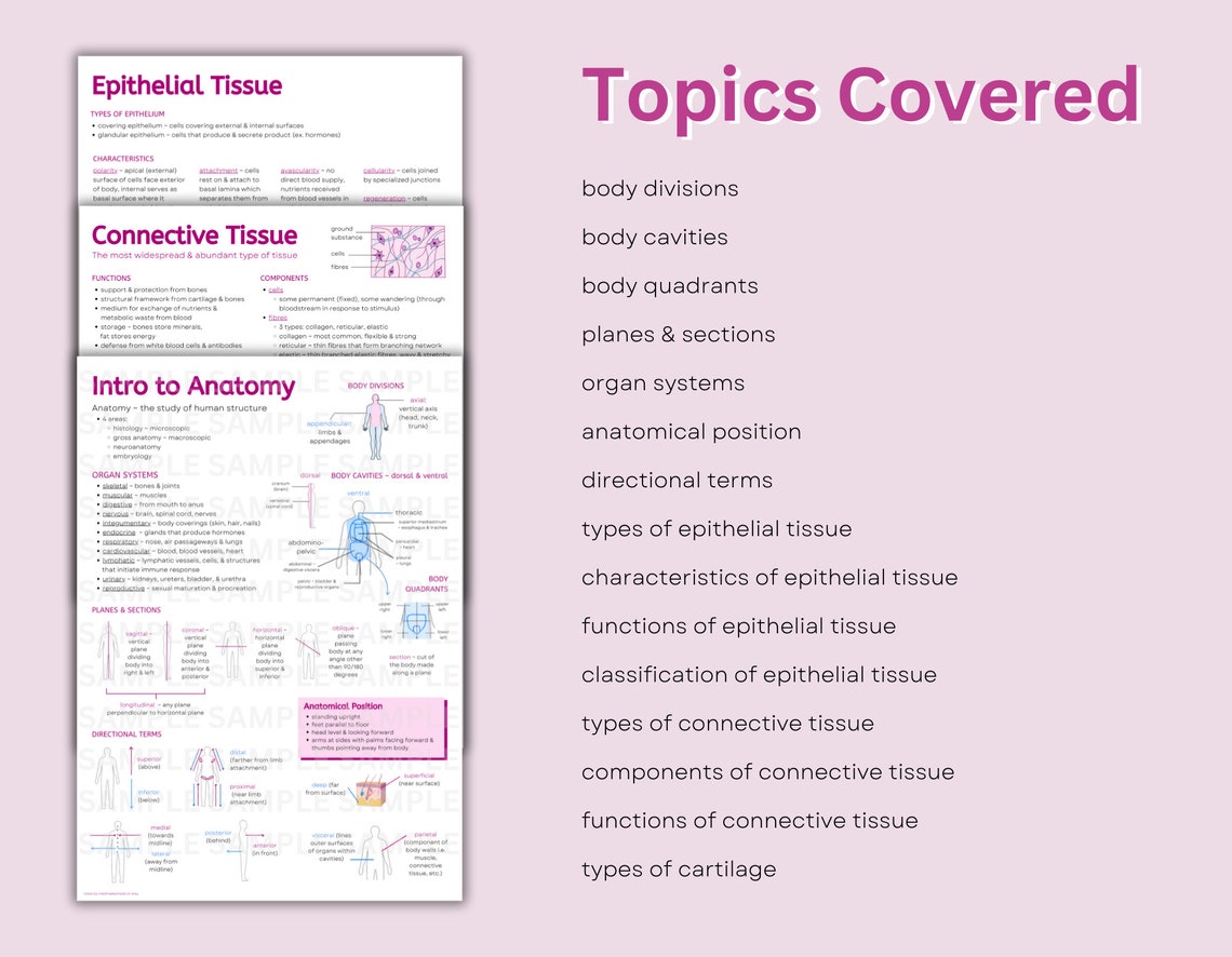 Intro to Anatomy Notes ~ Physiology Biology Science Study Guide Outline ...