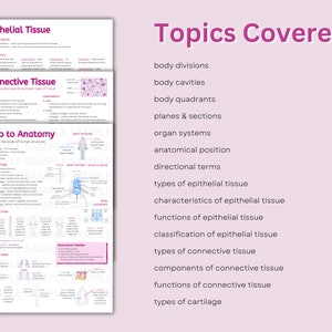 Intro to Anatomy Notes ~ Physiology Biology Science Study Guide Outline ...