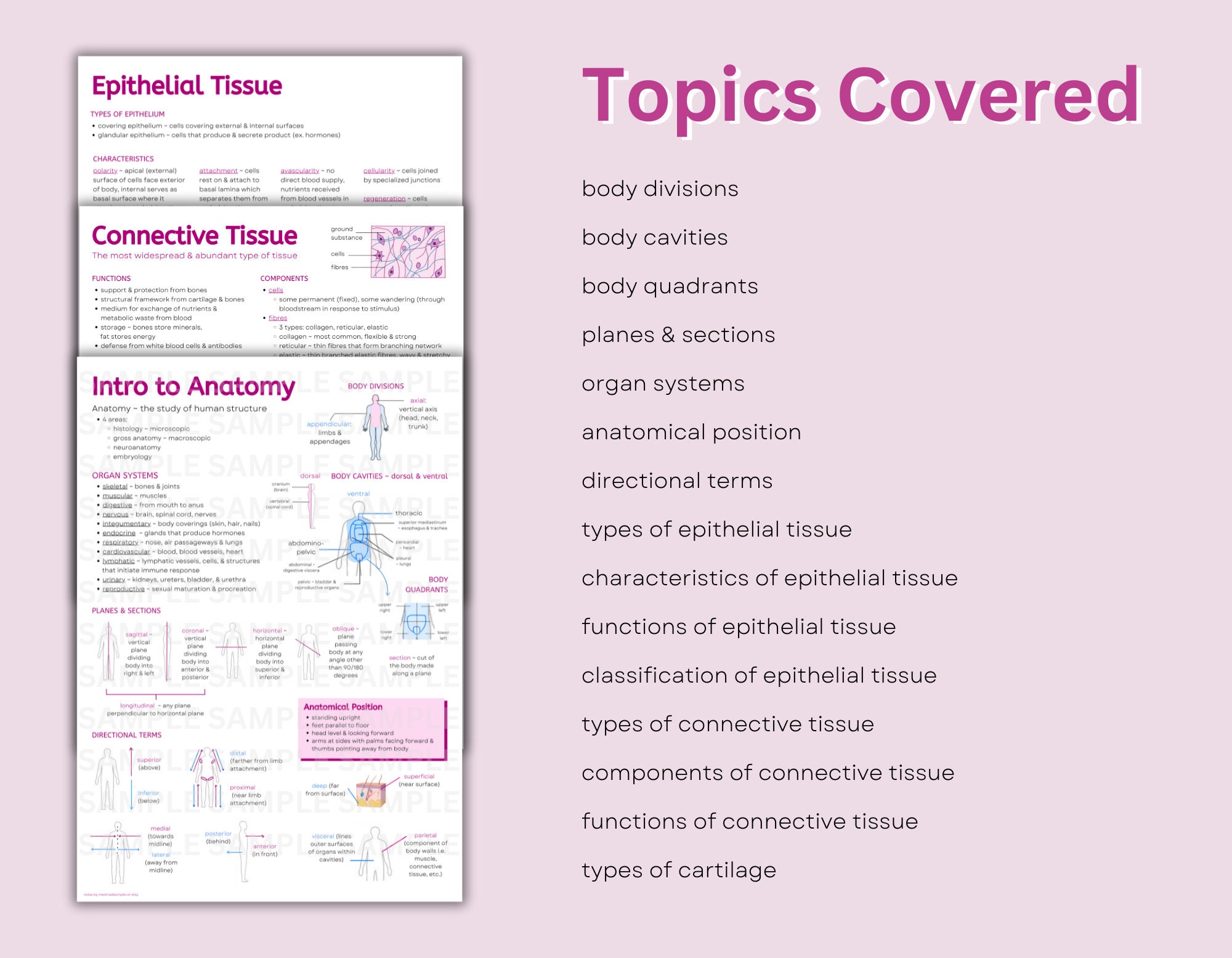 Intro to Anatomy Notes ~ Physiology Biology Science Study Guide Outline ...