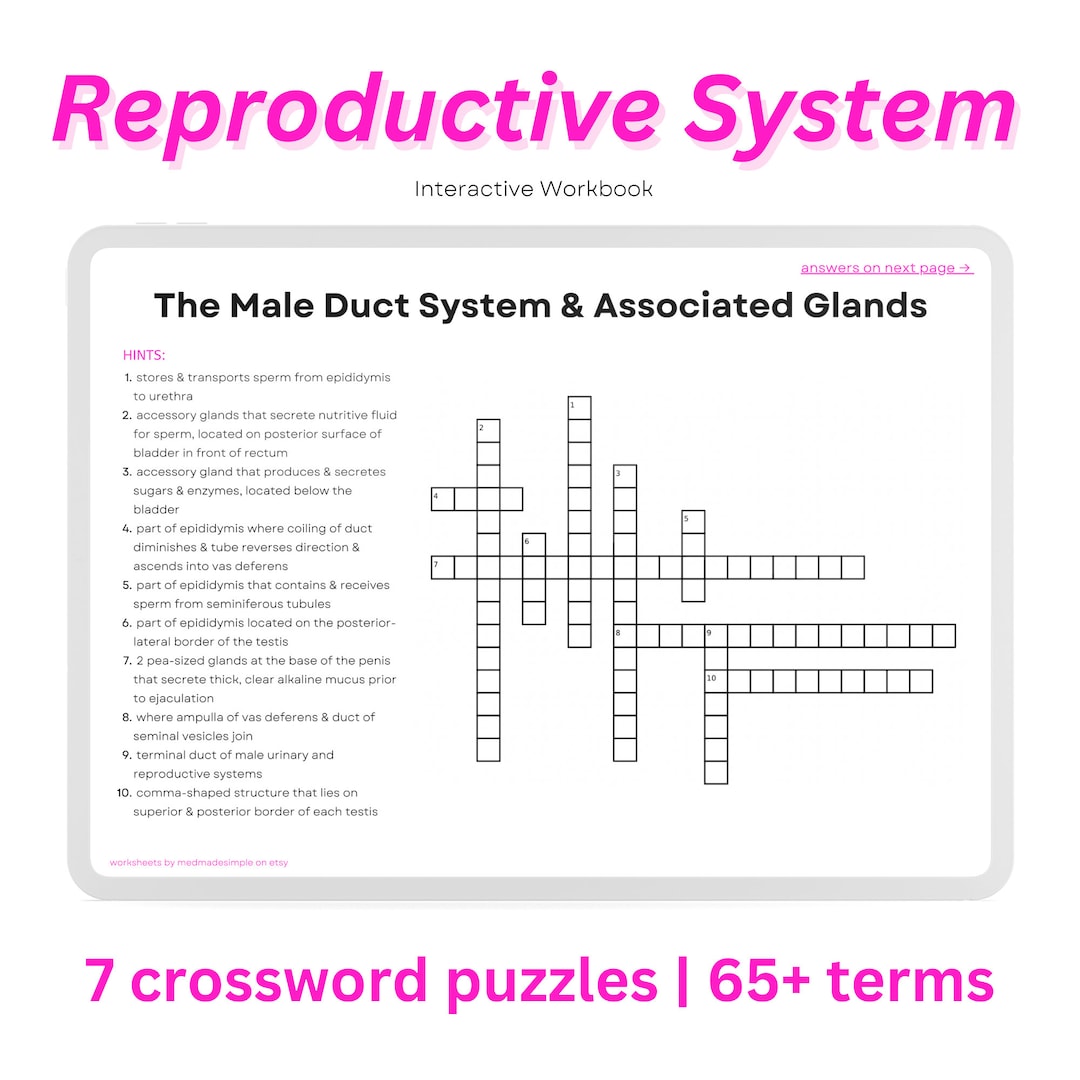Reproductive System Workbook Digital Male Female Anatomy Worksheets ...