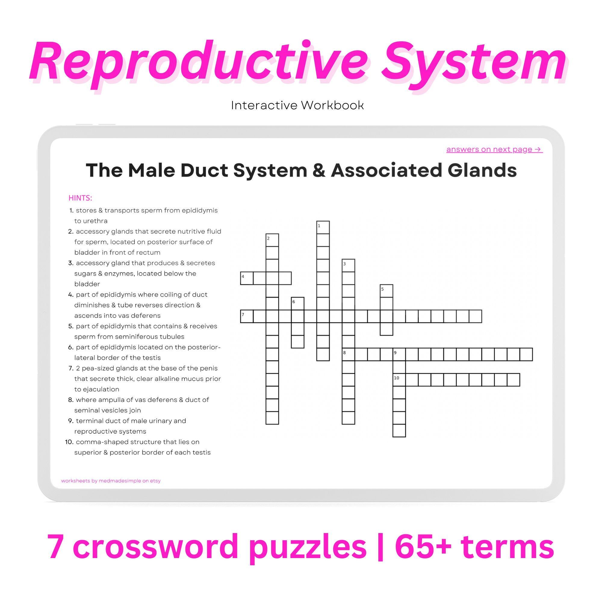 Digestive System Crossword Puzzle