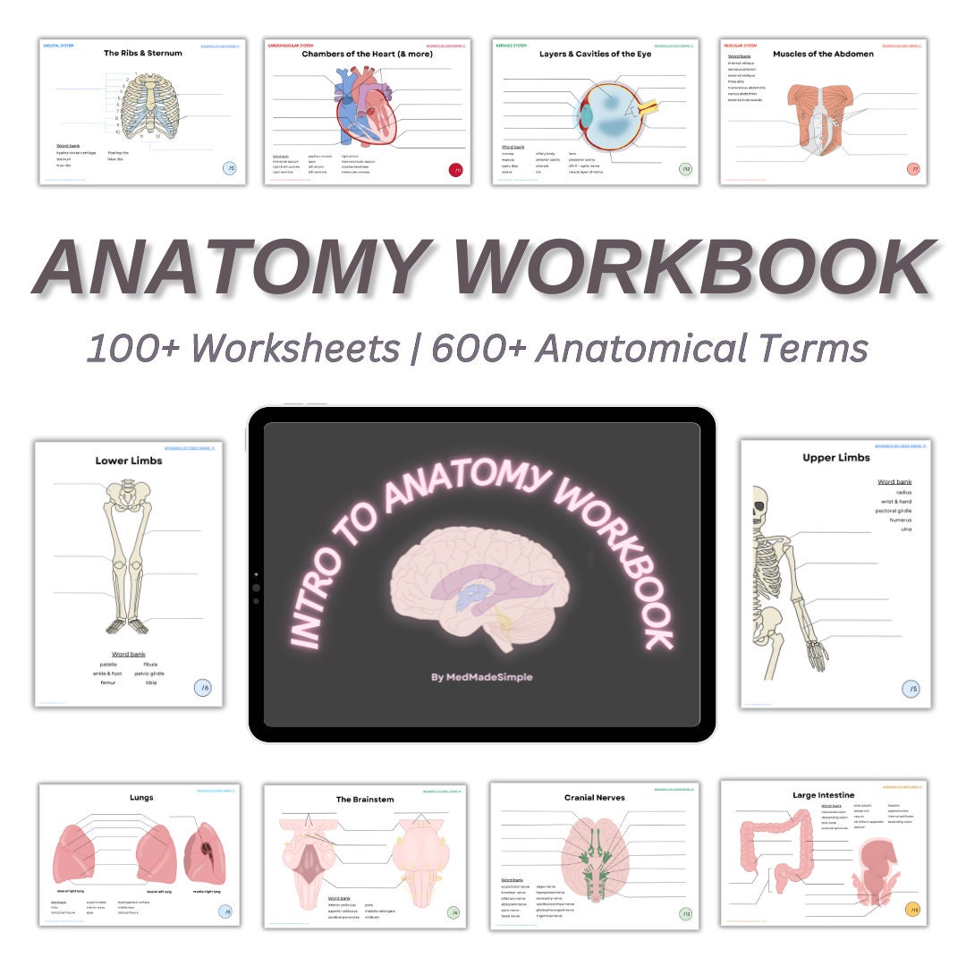 ANATOMY WORKBOOK ~ Intro to Anatomy Worksheets, Crosswords, Skeletal ...