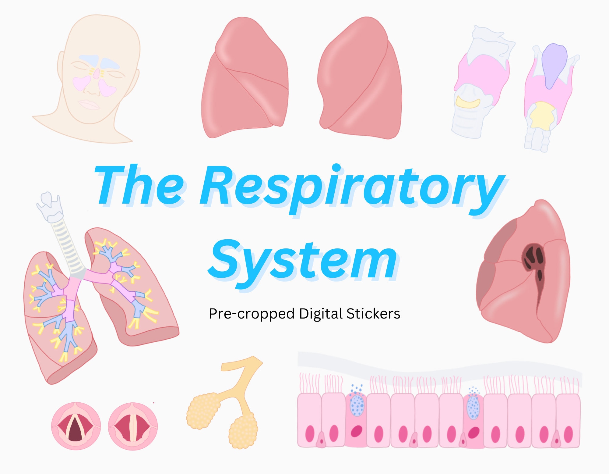 Respiratory System Digital Sticker Pack ~ Pre-crop Goodnotes Stickers ...
