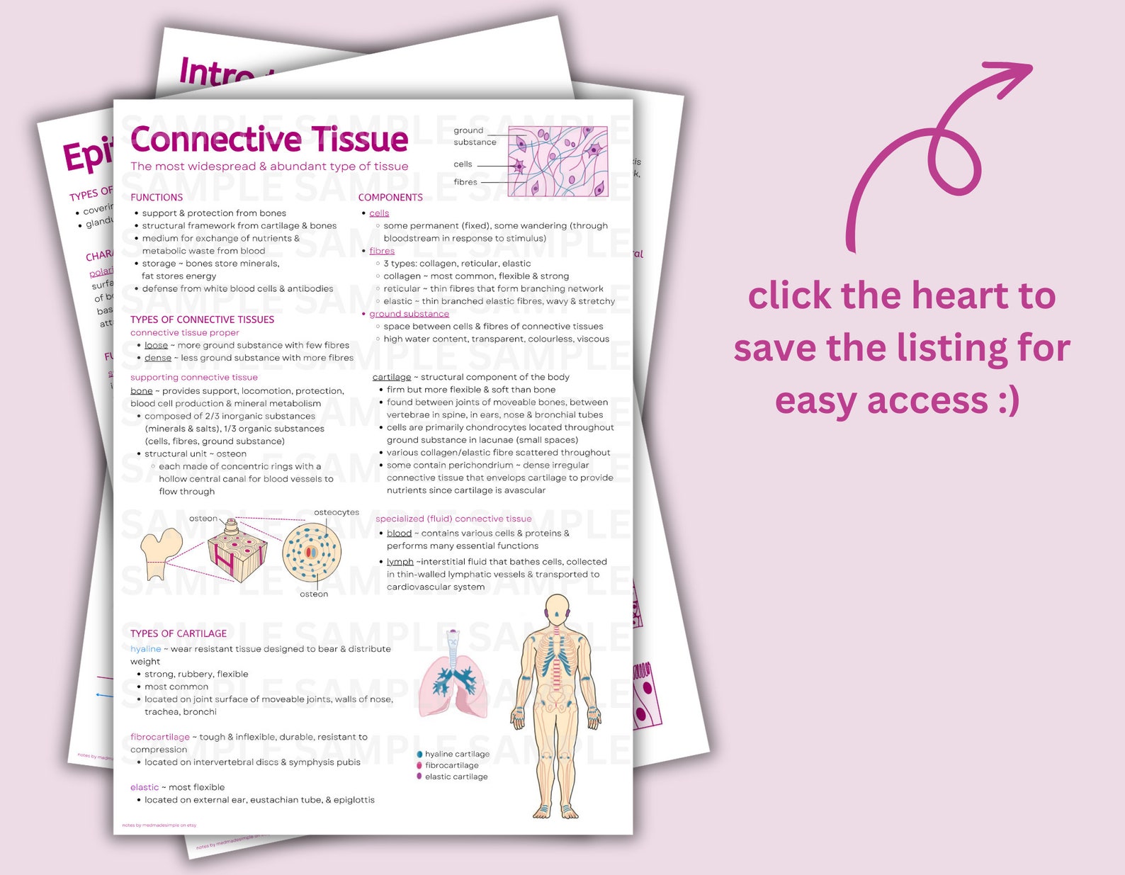 Intro to Anatomy Notes ~ Physiology Biology Science Study Guide Outline ...