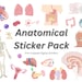 ANATOMY STICKER BUNDLE Anatomical Structures Digital Sticker Sheet for ...