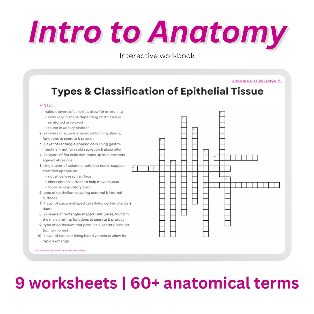 Intro to Anatomy Workbook ~ Digital Anatomic Worksheets Diagrams Study ...