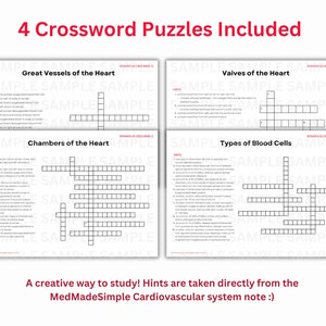 Cardiovascular System Workbook ~ Digital Cardiology Hematology ...