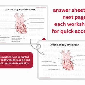 Cardiovascular System Workbook ~ Digital Cardiology Hematology ...