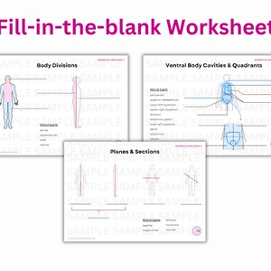 Intro to Anatomy Workbook ~ Digital Anatomic Worksheets Diagrams Study ...