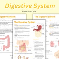 Gastrointestinal Study Guide - Etsy
