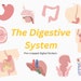 Endocrine System Digital Sticker Pack Pre-crop Goodnotes Stickers for ...