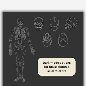 Skeletal System Digital Sticker Pack ~ Pre-crop Goodnotes Stickers ...