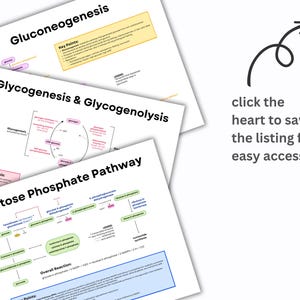 Metabolic Pathways Note: MCAT Biochemistry Study Guide (PDF) - Etsy