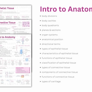 ANATOMY INTRO BUNDLE ~ Intro to Anatomy Notes for Beginners, Skeletal ...