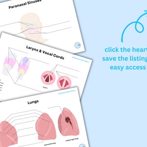 Respiratory System Workbook Digital Practice Sheet Printable Download ...