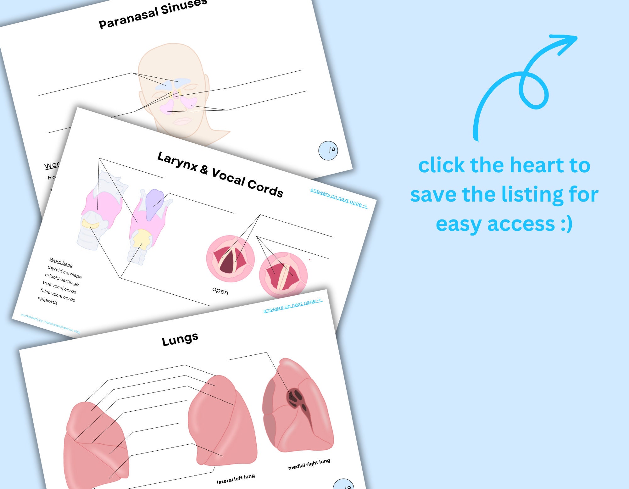 Respiratory System Workbook ~ Digital Practice Sheet Printable Download ...