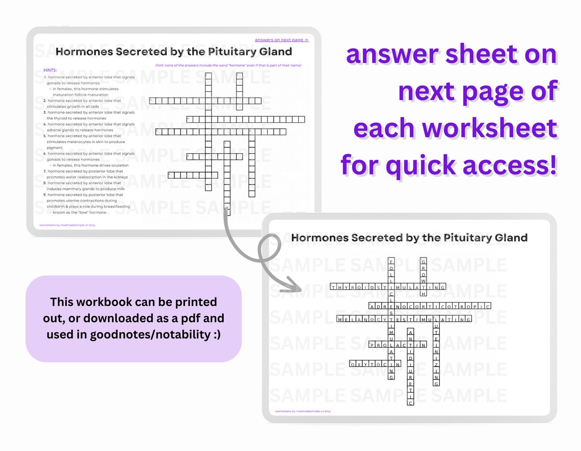 Endocrine System Workbook ~ Digital Endocrine Hormones Worksheets ...