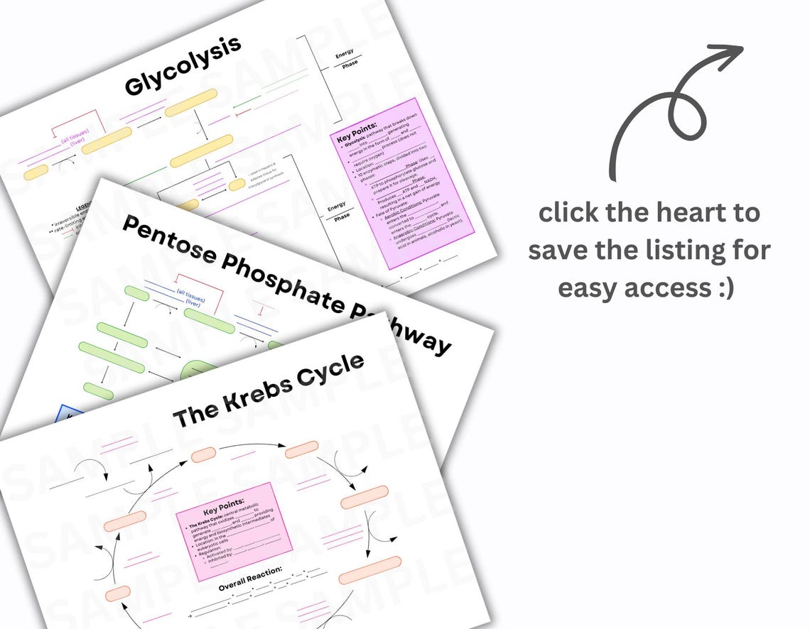 Metabolic Pathways Workbook: Glycolysis, Krebs Cycle (digital Download ...