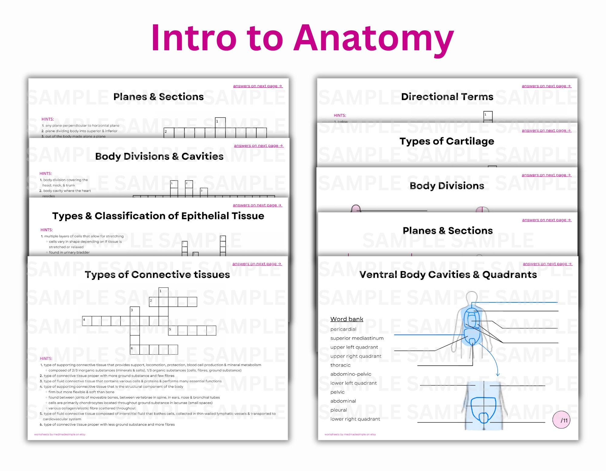 ANATOMY INTRO WORKBOOK ~ Anatomy Worksheets, Crosswords, Skeletal ...
