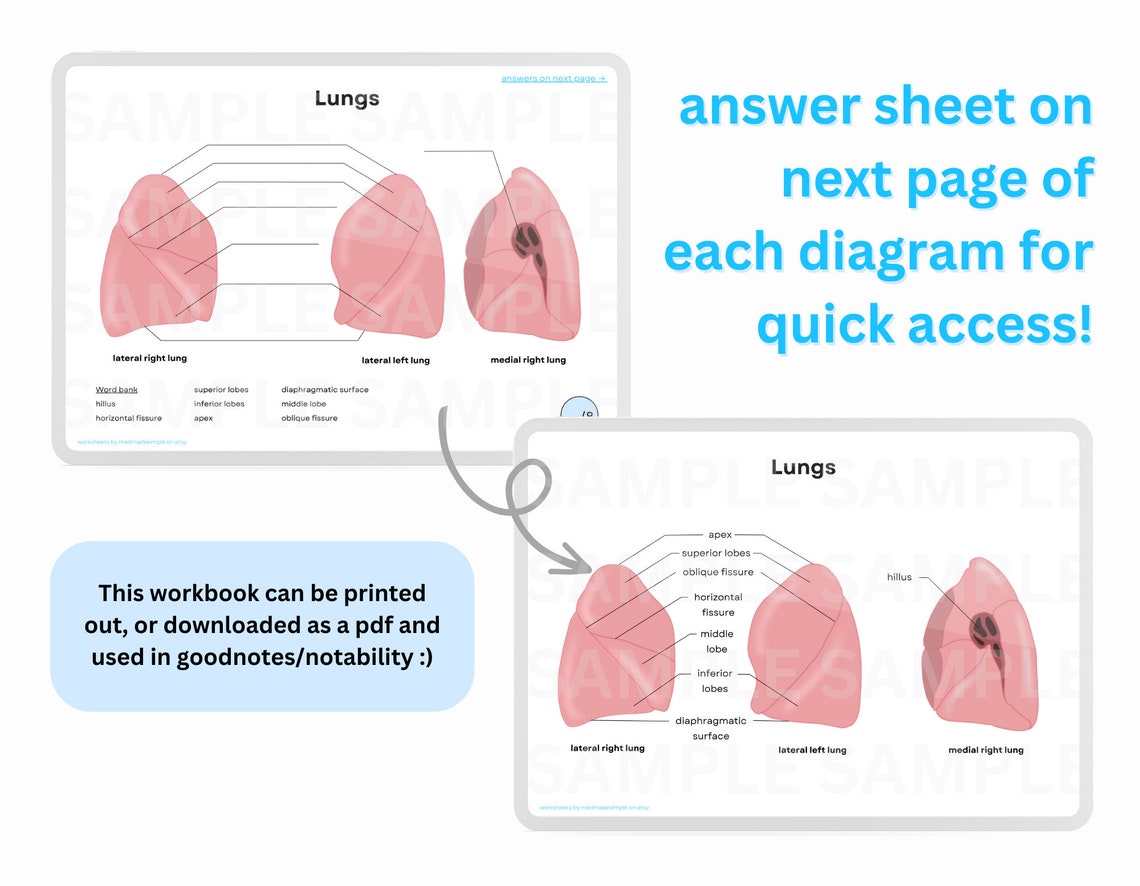 Respiratory System Workbook ~ Digital Practice Sheet Printable Download ...