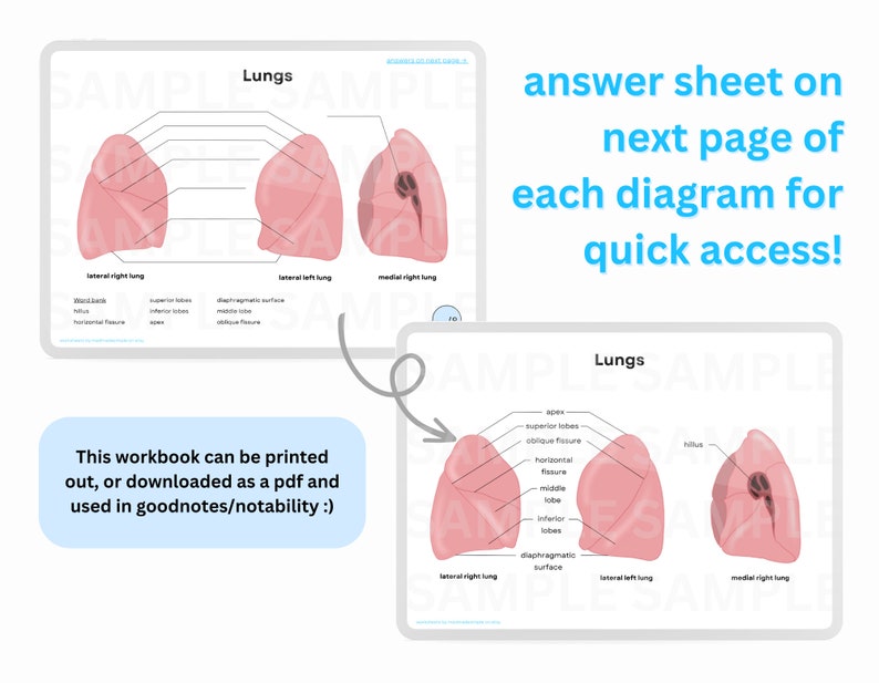 Respiratory System Workbook ~ Digital Practice Sheet Printable Download ...