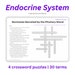 Endocrine System Workbook ~ Digital Endocrine Hormones Worksheets ...