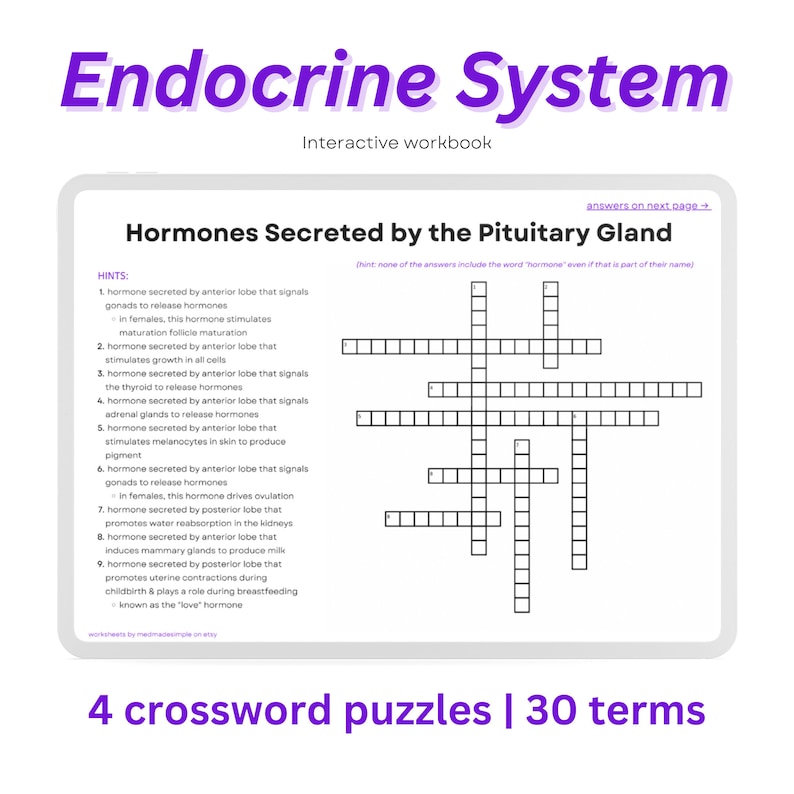Endocrine System Workbook ~ Digital Endocrine Hormones Worksheets ...
