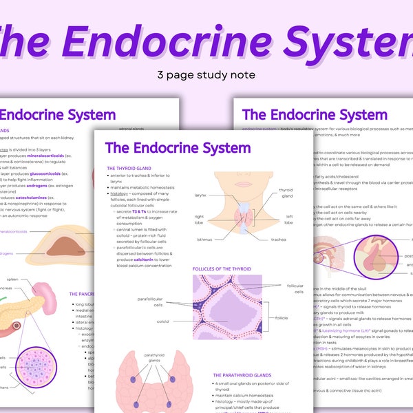 Nursing Study Guides - Etsy