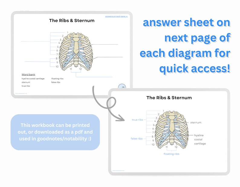 Skeletal System Workbook: Anatomy Practice Sheets (digital Download) - Etsy