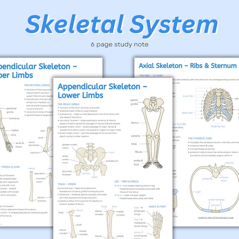 Body Systems Study Notes - Etsy