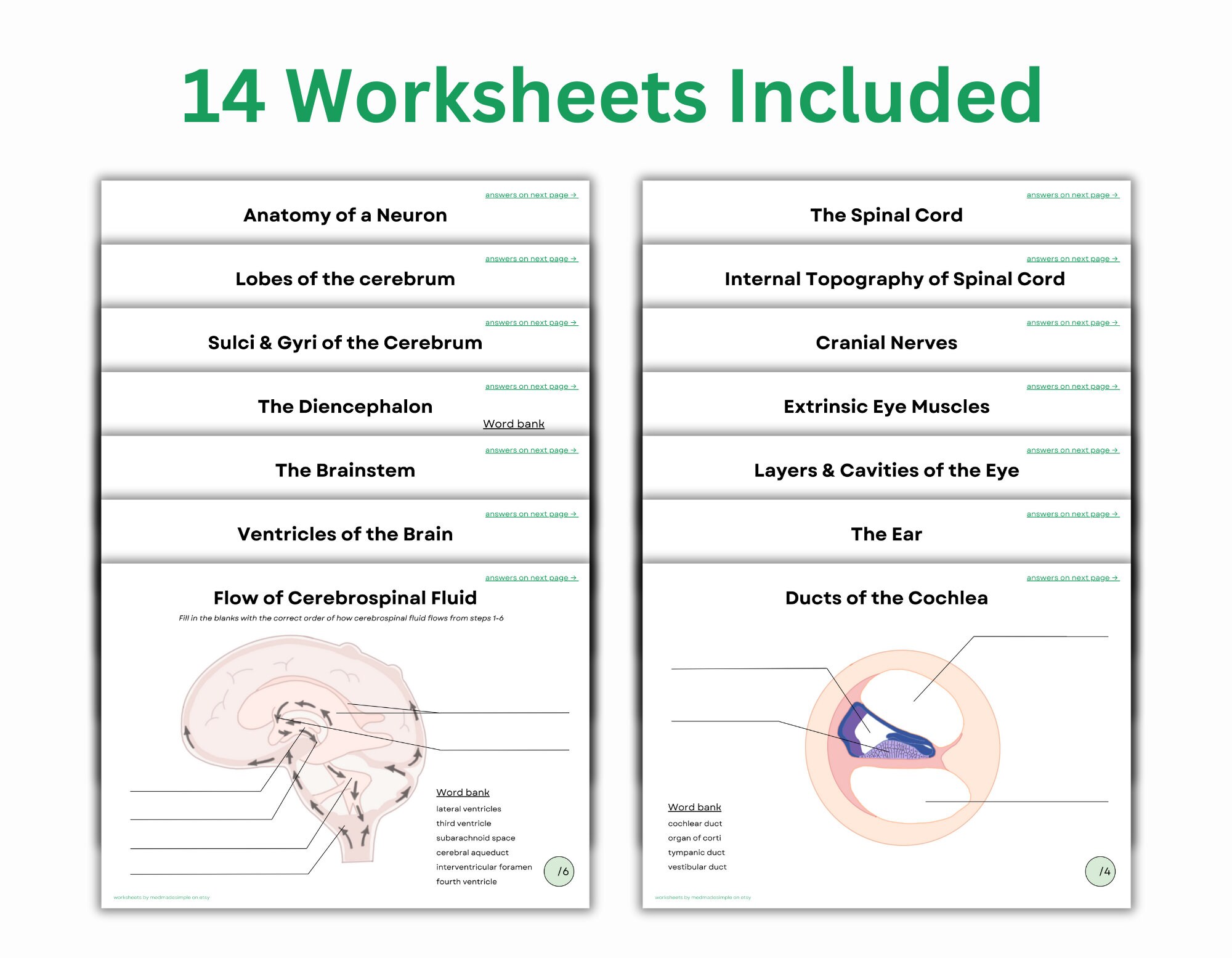 Nervous System Worbook Intro to Nervous System Anatomy, Neurology ...