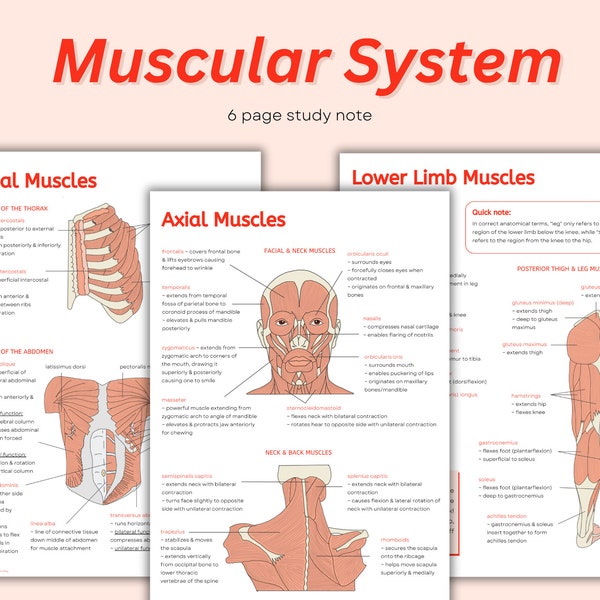 Muscle Muscle Music - Etsy UK