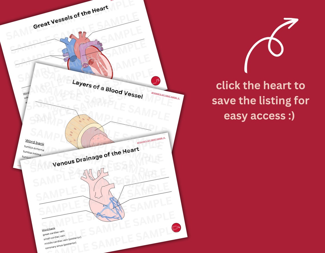 Cardiovascular System Workbook ~ Digital Cardiology Hematology ...