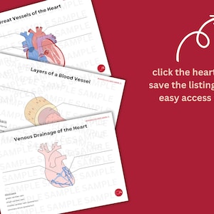 Cardiovascular System Workbook ~ Digital Cardiology Hematology ...