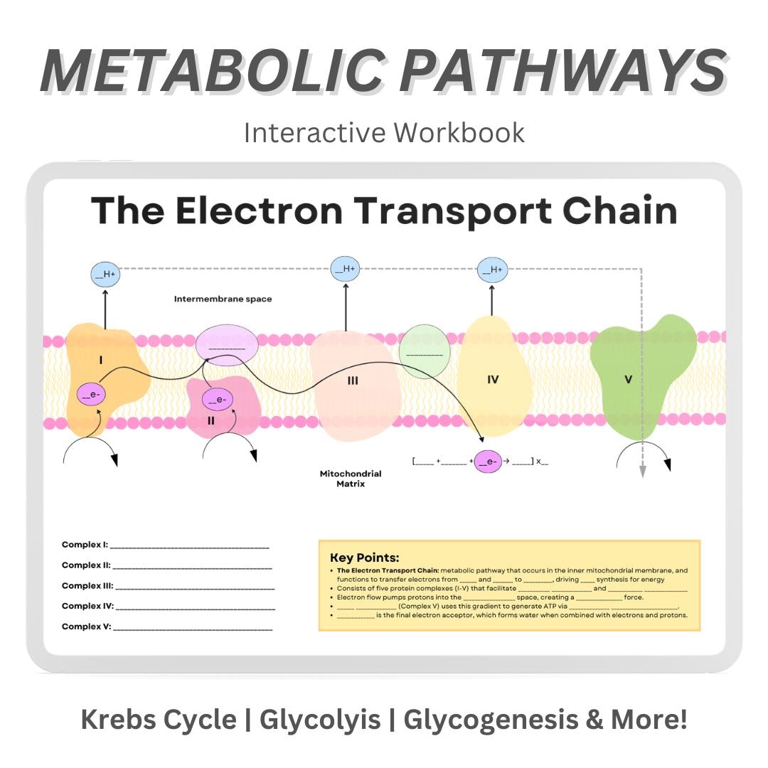 Metabolic Pathways Workbook ~ Digital Practice Sheet Printable Download ...