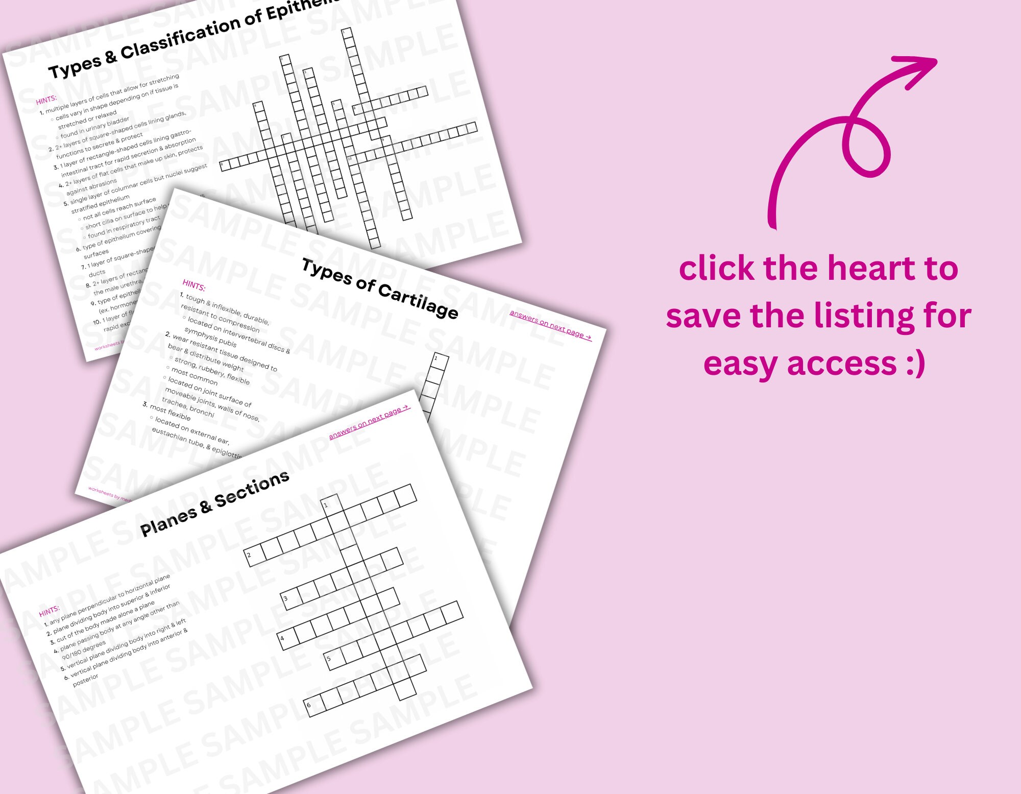 Anatomy Workbook: Diagrams & Crossword Puzzles (PDF Download) - Etsy