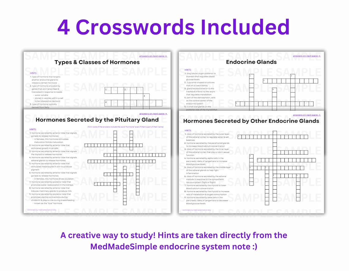 Endocrine System Workbook ~ Digital Endocrine Hormones Worksheets ...