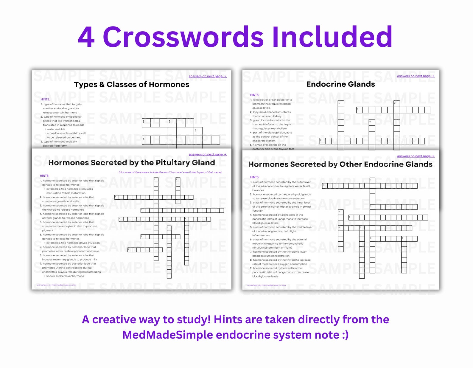Endocrine System Workbook ~ Digital Endocrine Hormones Worksheets ...