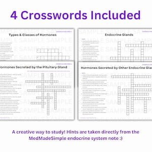 Endocrine System Workbook ~ Digital Endocrine Hormones Worksheets ...
