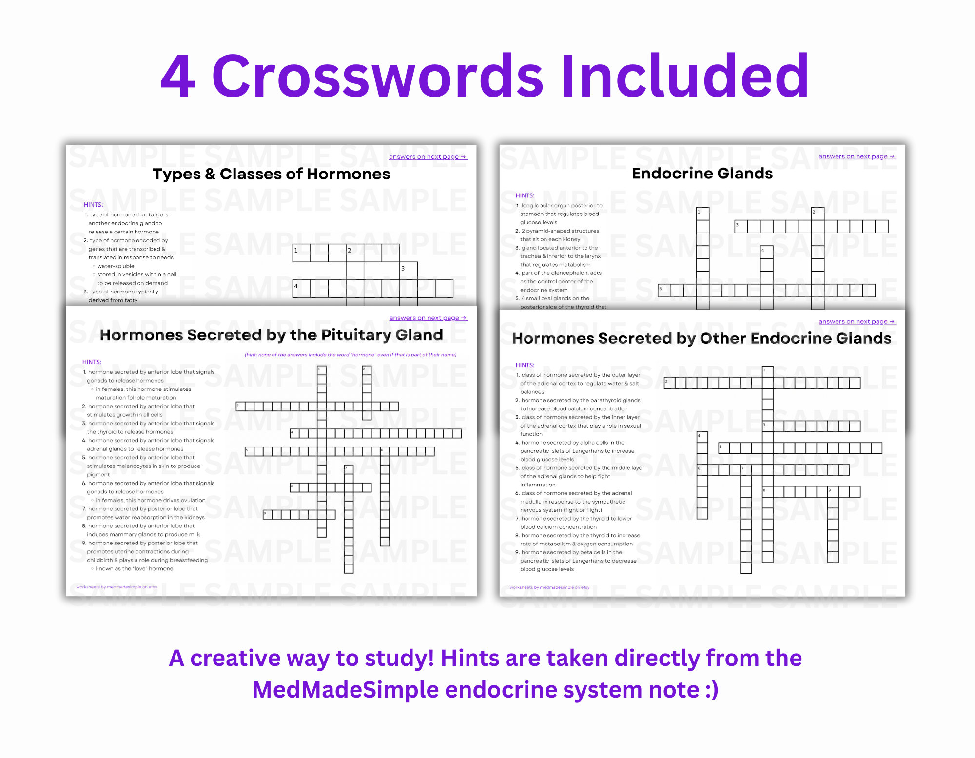 Endocrine System Workbook ~ Digital Endocrine Hormones Worksheets ...