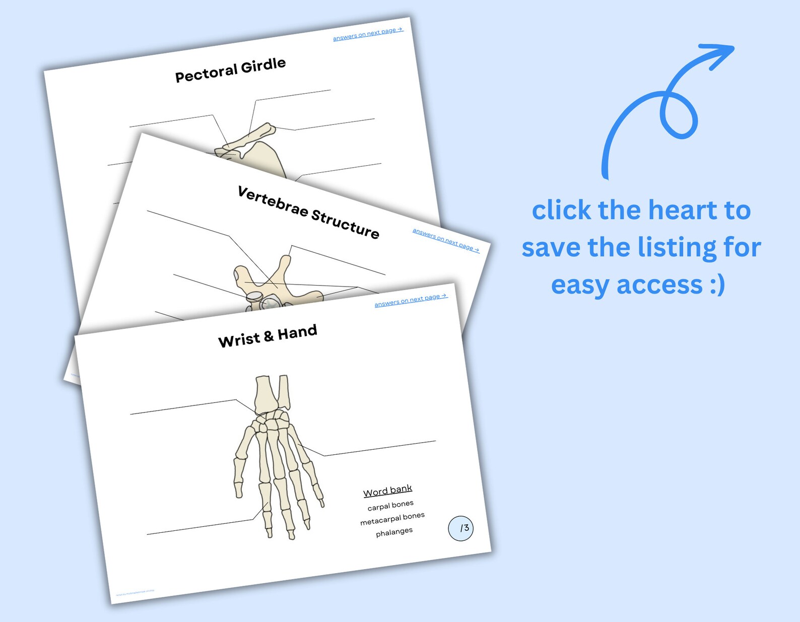 Skeletal System Workbook: Anatomy Practice Sheets (digital Download) - Etsy