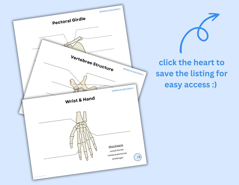 Skeletal System Workbook: Anatomy Practice Sheets (digital Download) - Etsy