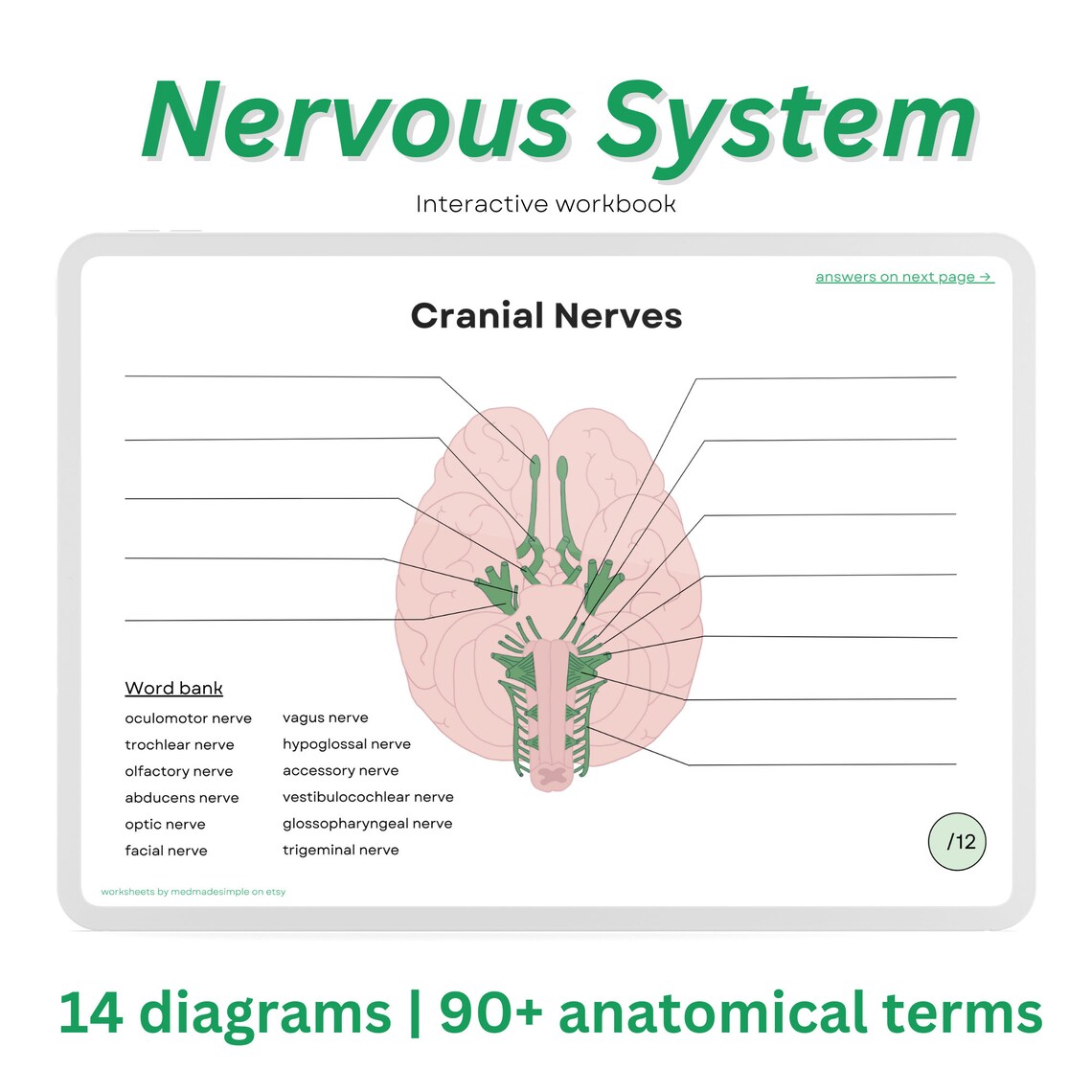 Nervous System Anatomy Workbook: Neurology Practice Diagrams (PDF) - Etsy