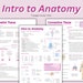 Intro to Anatomy Notes ~ Physiology Biology Science Study Guide Outline ...
