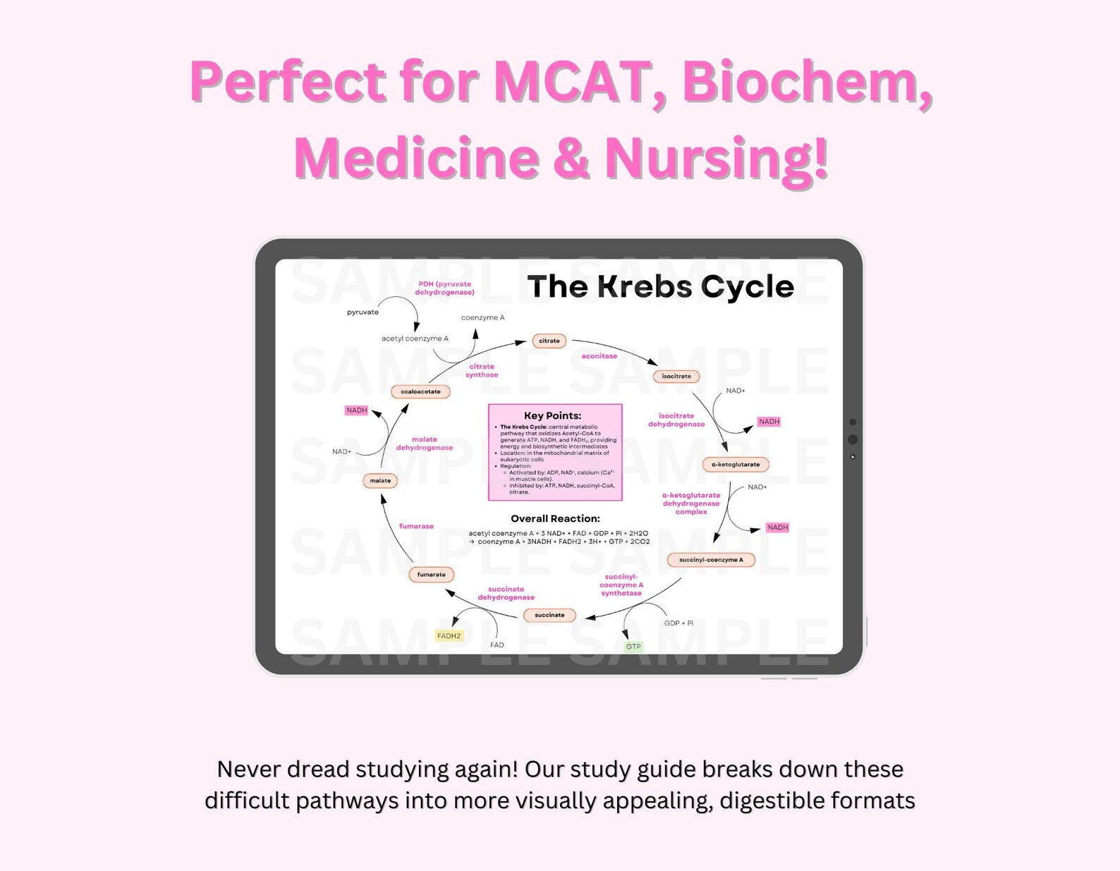 Metabolic Pathways Note: MCAT Biochemistry Study Guide (PDF) - Etsy