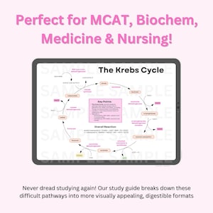 Metabolic Pathways Note: MCAT Biochemistry Study Guide (PDF) - Etsy