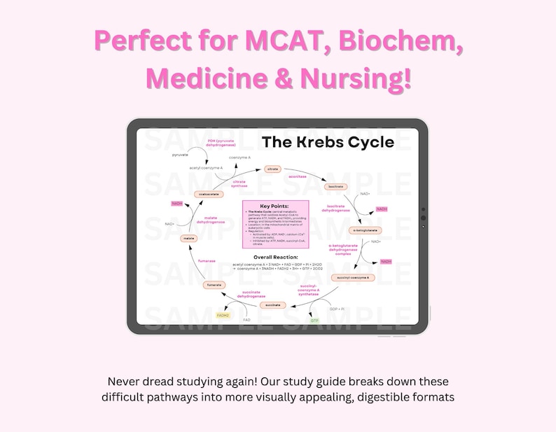 Metabolic Pathways Note: MCAT Biochemistry Study Guide (PDF) - Etsy