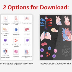 Cardiovascular System Digital Sticker Pack ~ Pre-crop Goodnotes ...