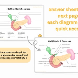 Digestive System Workbook ~ Digital Practice Sheet Printable Download ...