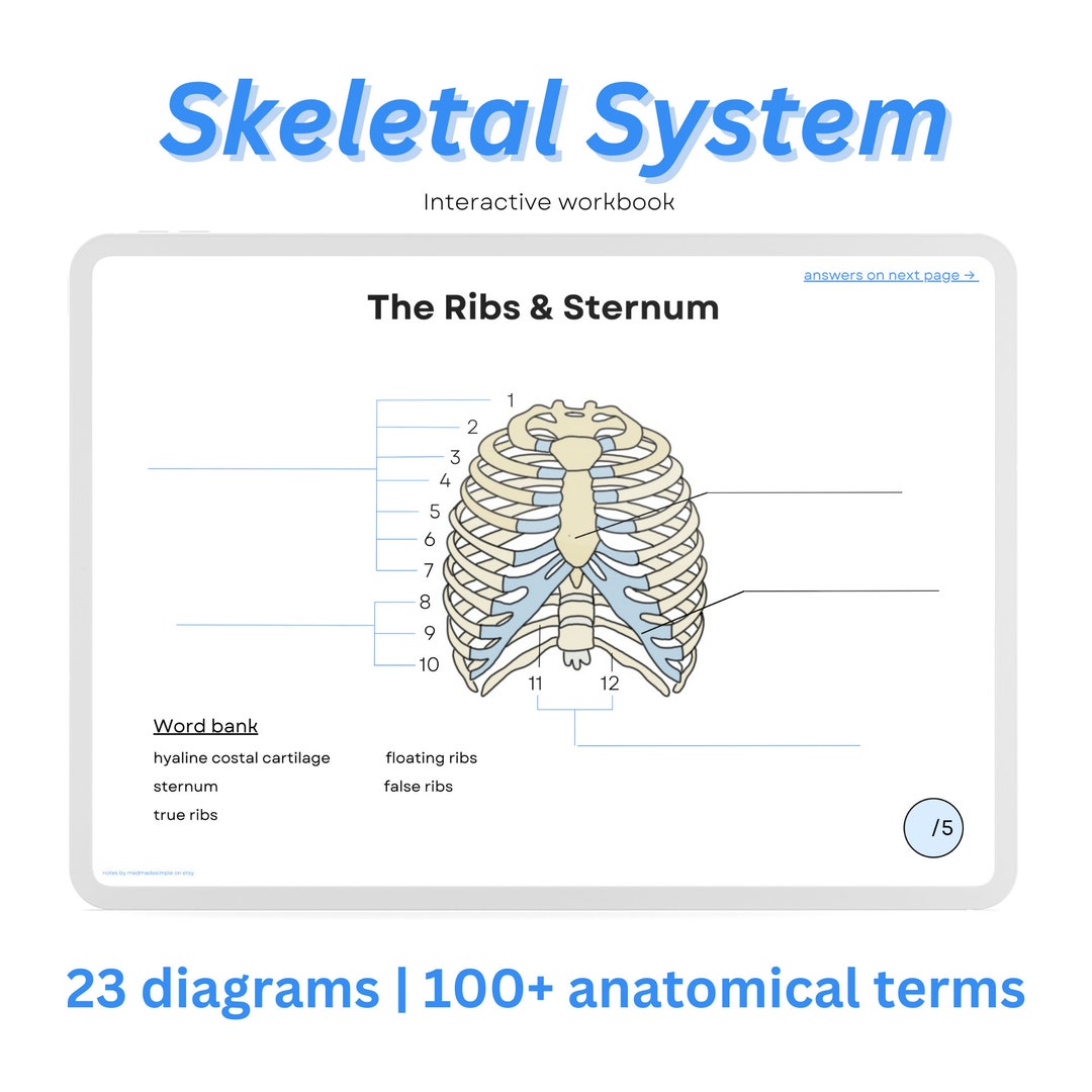 Skeletal System Workbook: Anatomy Practice Sheets (digital Download) - Etsy